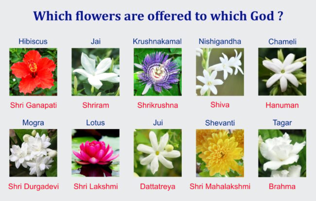 The Blossoming Devotion: An Exploration Of Hinduism's Beloved Divine ...