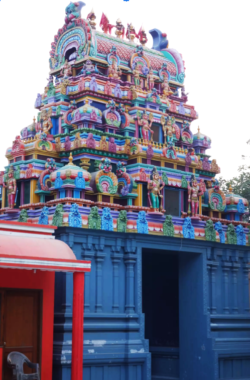 Why Malai mandir of Delhi is so special?