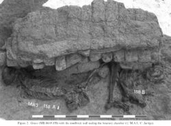 The Indus Valley’s Surprising Role in the History of Cotton - Enroute ...
