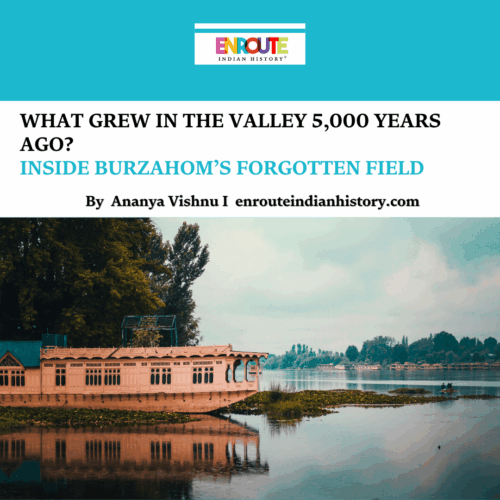 What Grew in the Valley 5,000 Years Ago? Inside Burzahom’s Forgotten ...
