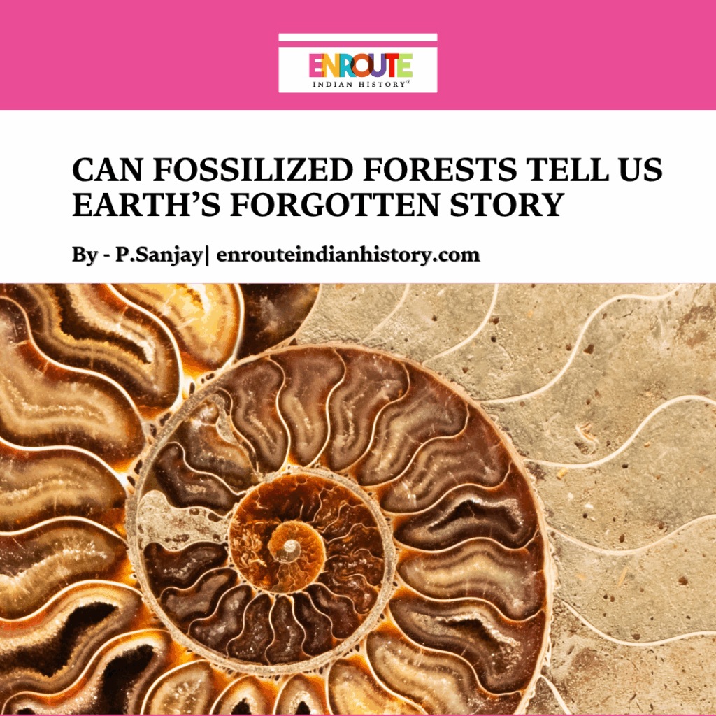 Can Fossilized Forests Tell Us Earth’s Forgotten Story - Enroute Indian ...