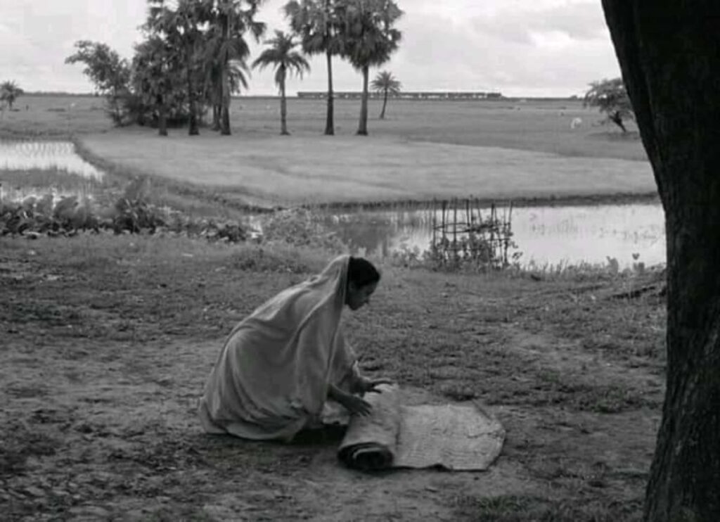 Threshold in Motion: How Train becomes a Liminal Space in Satyajit Ray ...